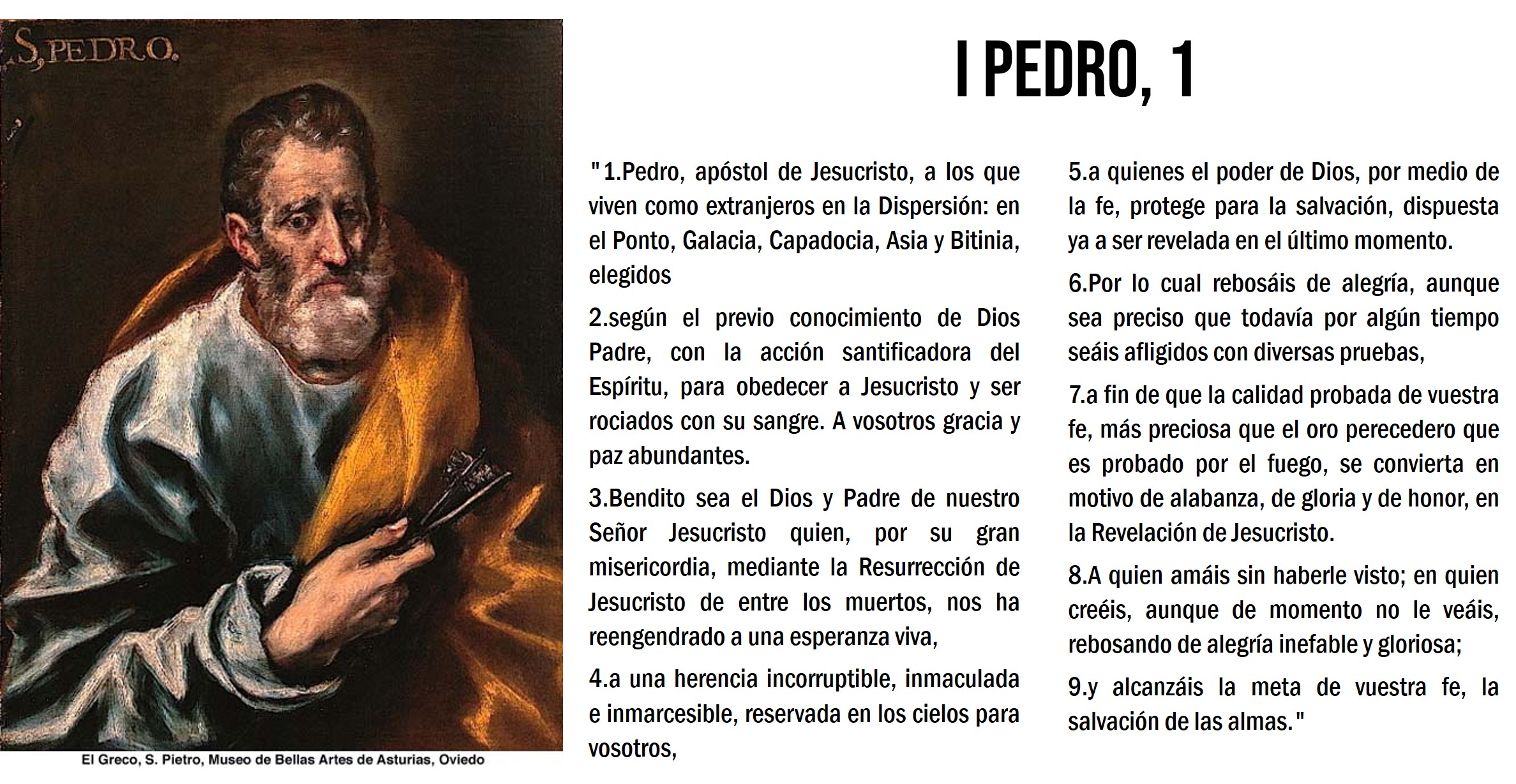 SAN PEDRO – PATER CORDE